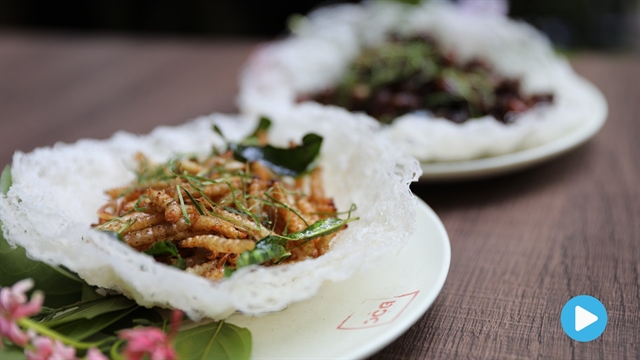 Vietnamese food: Fried insects