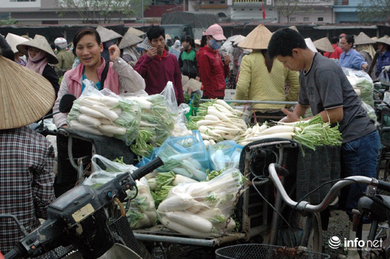 Vùng rau sạch lớn nhất Hà Nội: Rau độc, rau sạch trông chờ... lương tâm