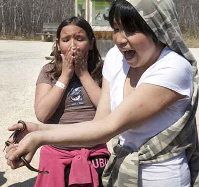 Đảo Rắn ở Brazil: Nơi tử thần ẩn náu trong thiên đường