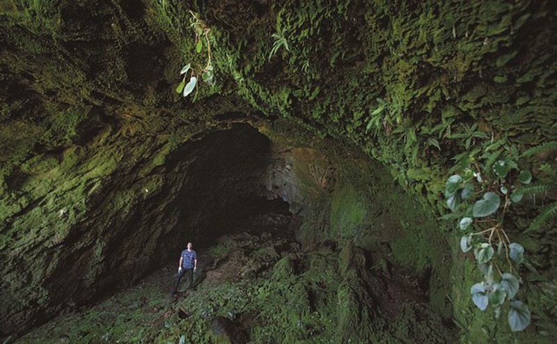 Đảo Rắn ở Brazil: Nơi tử thần ẩn náu trong thiên đường