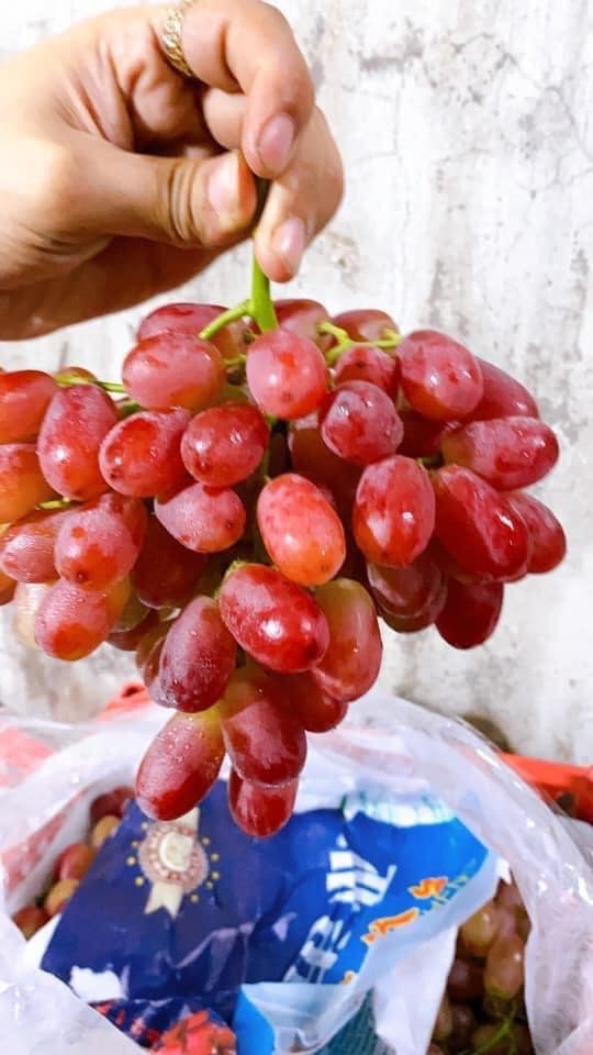 Sự thật về loại nho ruby không hạt